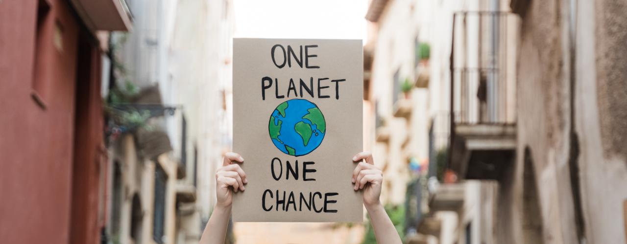 What employee perks can help fight climate change? - International ...